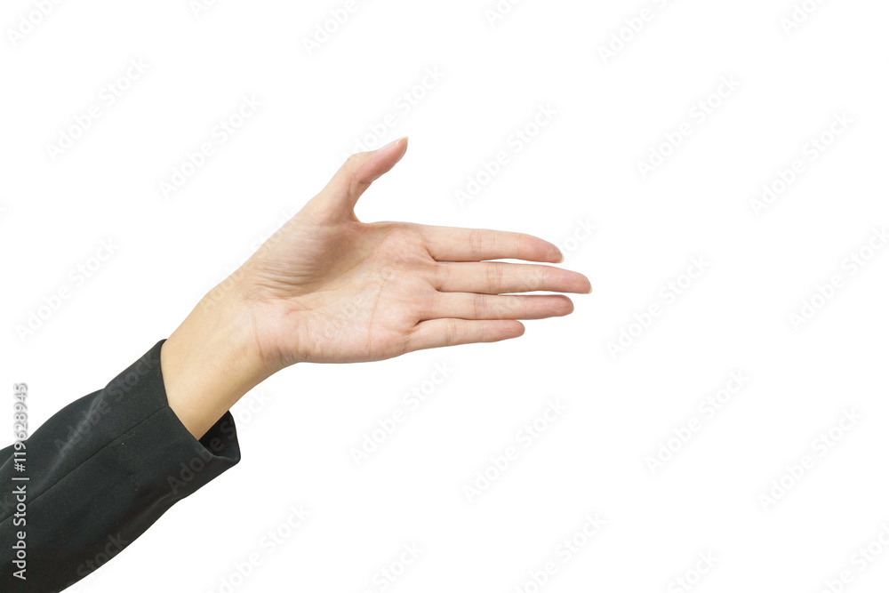 Closeup action of working woman wait for shake hand isolated on white ...
