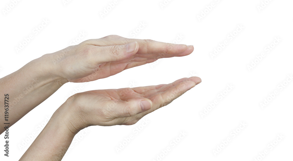 Parallel Healing Hands on white background - female hands with palms ...