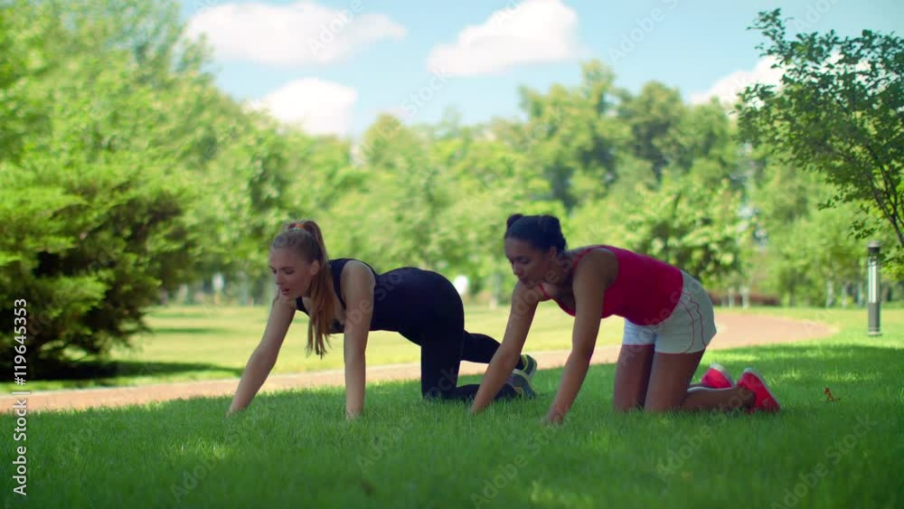 Push ups exercise. Young women doing push up exercise. Two woman doing ...