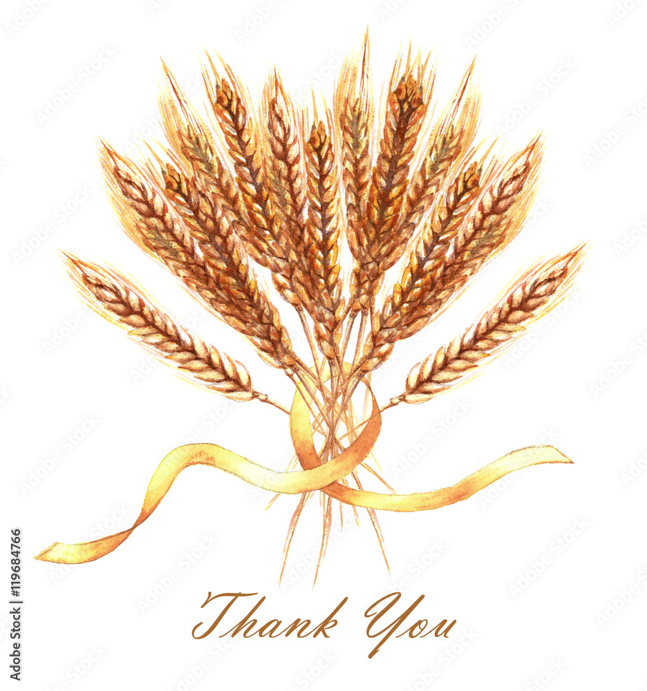 Thank You card. Greeting template. Hand drawn watercolor wheat bunch ...