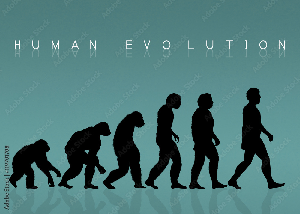 human evolution silhouette Stock Illustration | Adobe Stock