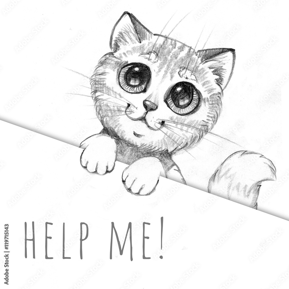 Cute cat peeping from behind banner. Drawing by hand. Kitty asks for ...
