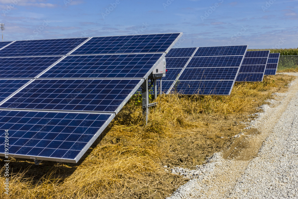 Solar Panel Farm. Corn Fields are Being Converted into Green Energy ...