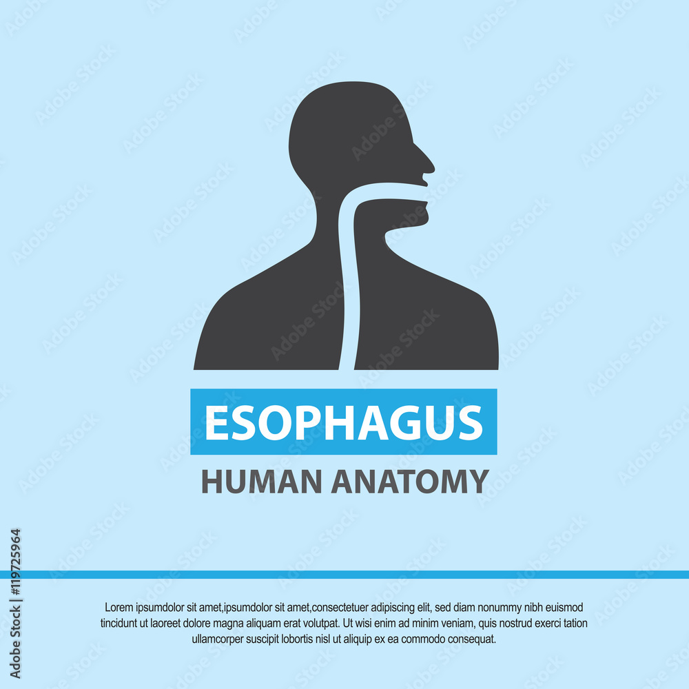 Esophagus symbol, medical icon. Vector illustration Stock Vector ...