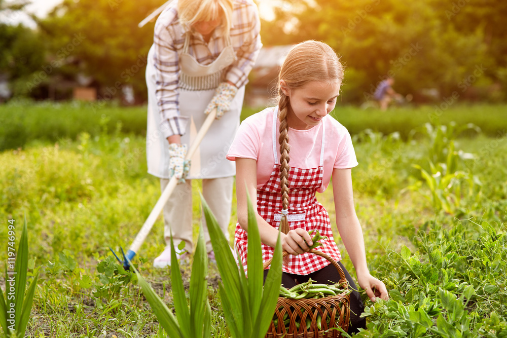 Garden work Stock Photo | Adobe Stock