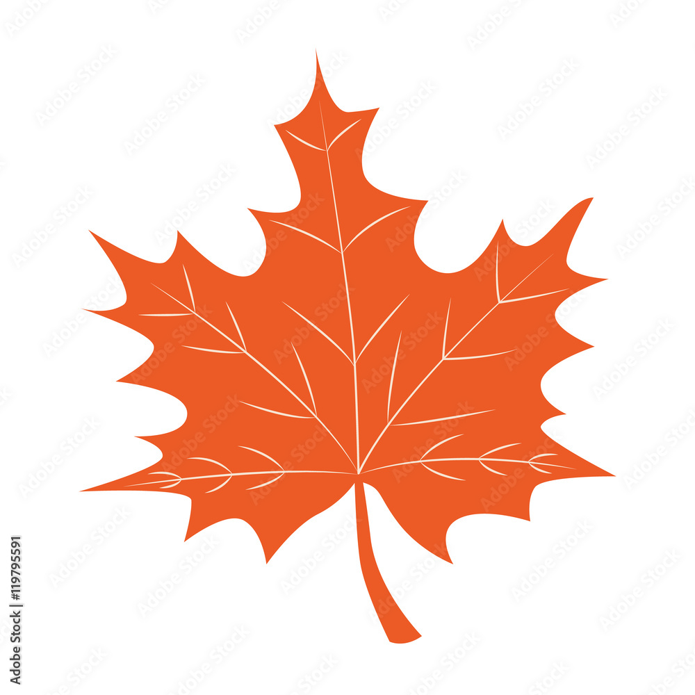 Maple Leaf vector Stock Vector | Adobe Stock