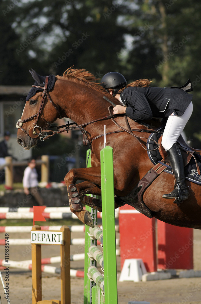 saut d'obstacle en équitation Stock Photo | Adobe Stock