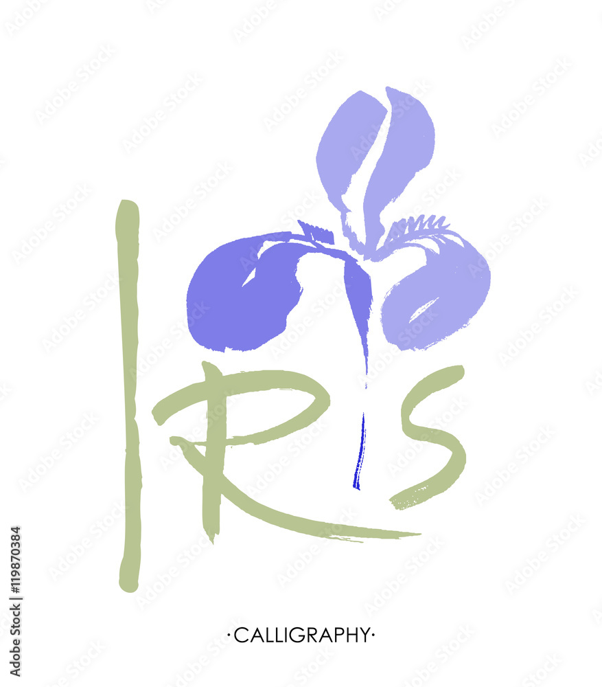 Vector flower logo. Floral background. Stylized calligraphic ink iris ... Vector flower logo. Floral background. Stylized calligraphic ink iris ...