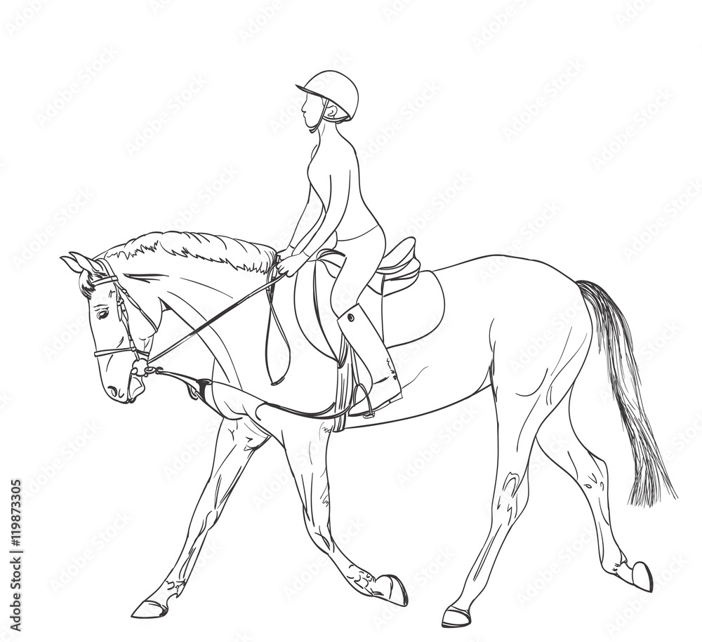 horse rider line art drawing. equestrian sport training theme ...