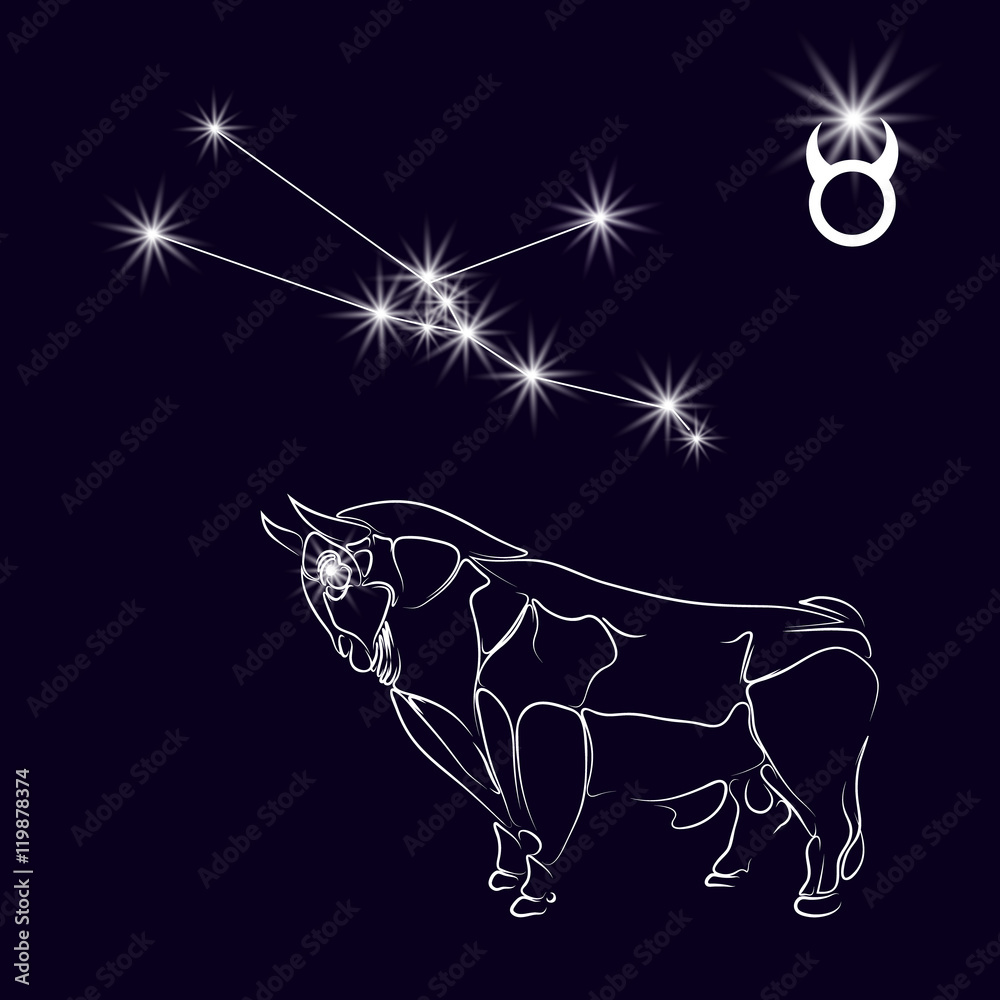Taurus Star Constellation Tattoo