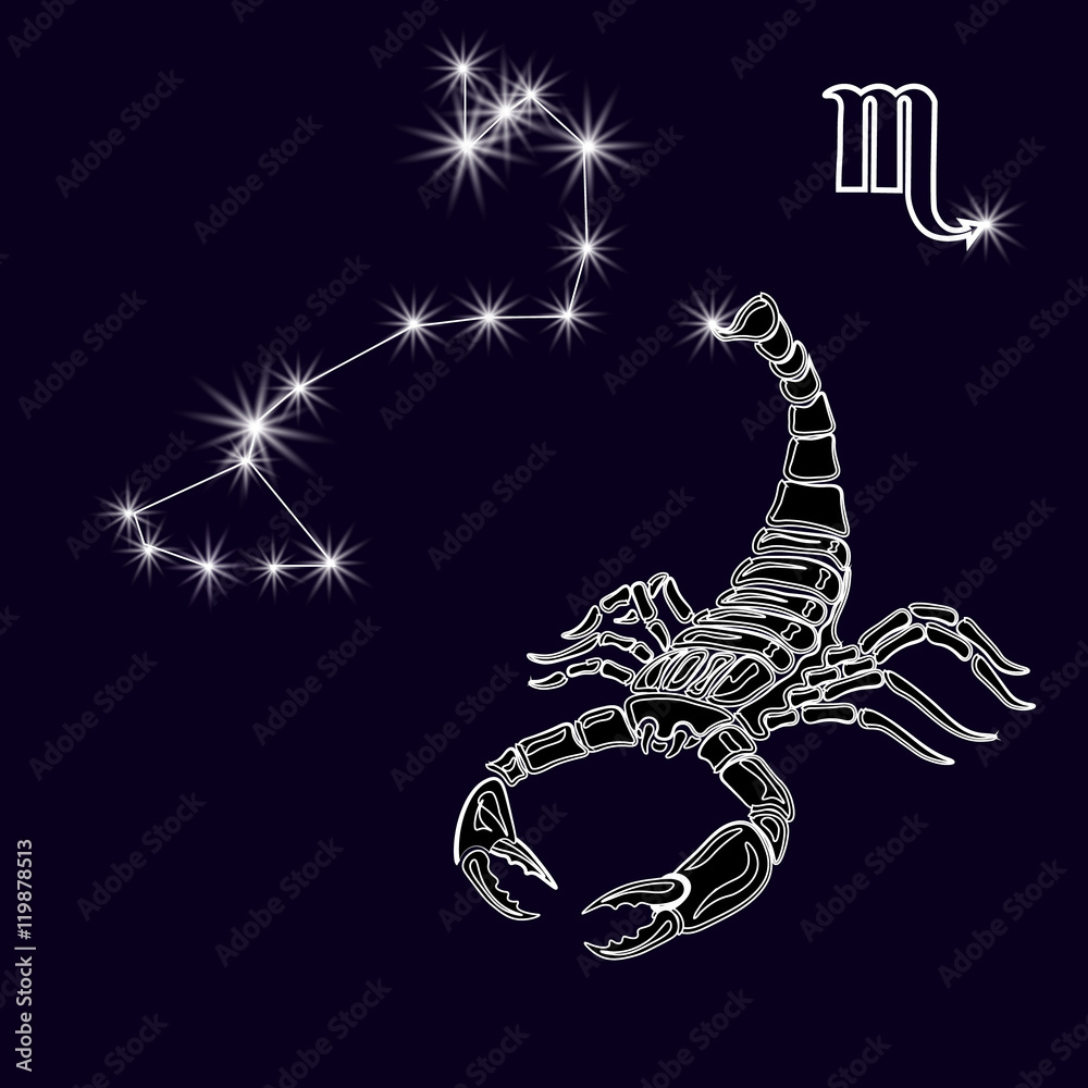 Scorpius Constellation Tattoo