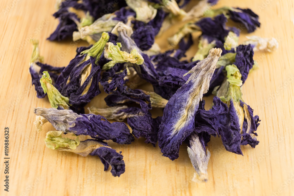 Butterfly pea Stock Photo | Adobe Stock