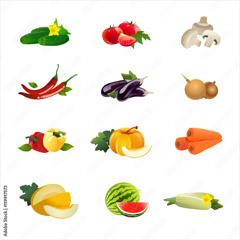 Vegetables. Vector Stock Vector | Adobe Stock