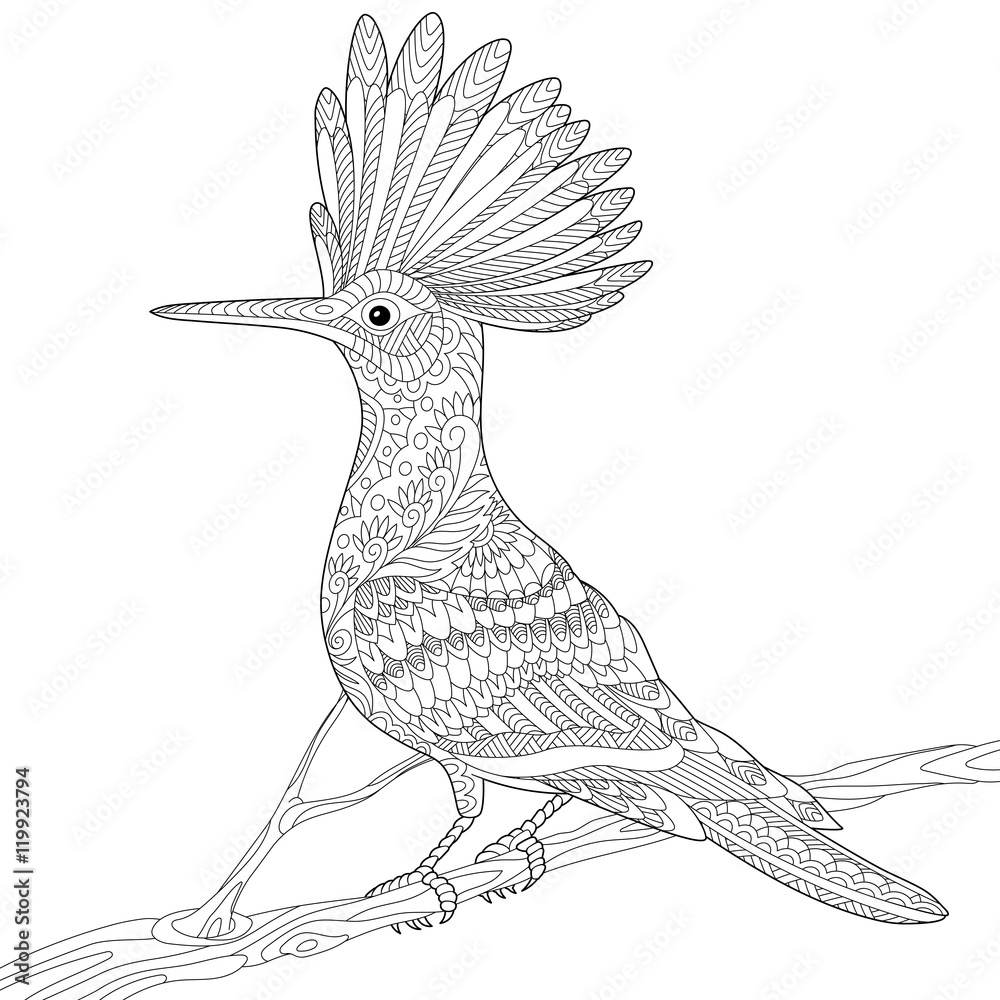 Stylized hoopoe bird (Upupa epops) sitting on tree branch, isolated on ...