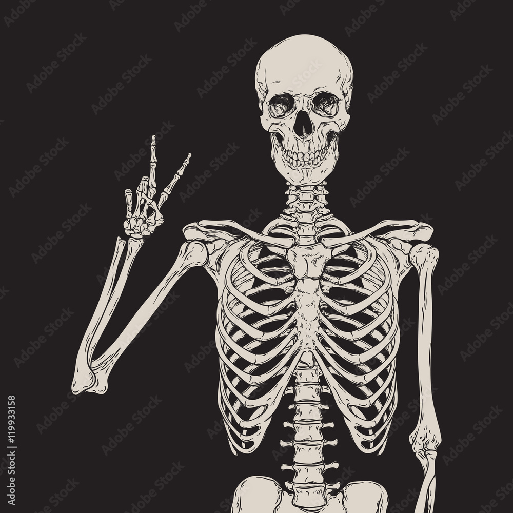 Human skeleton posing isolated over black background vector Stock ...