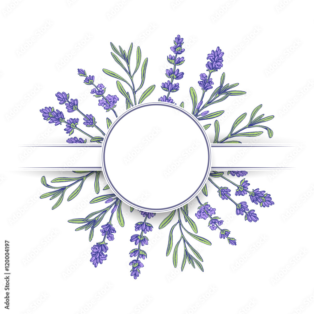 Hand drawn lavender banner, invitation card. Stock Vector | Adobe Stock