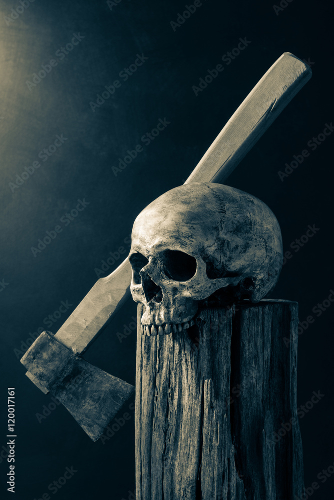 Still life photography : human skull and axe on tree stump in murder ...