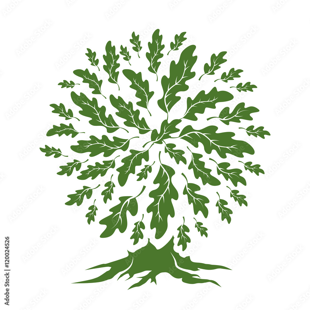 Oak Tree Graphic Design