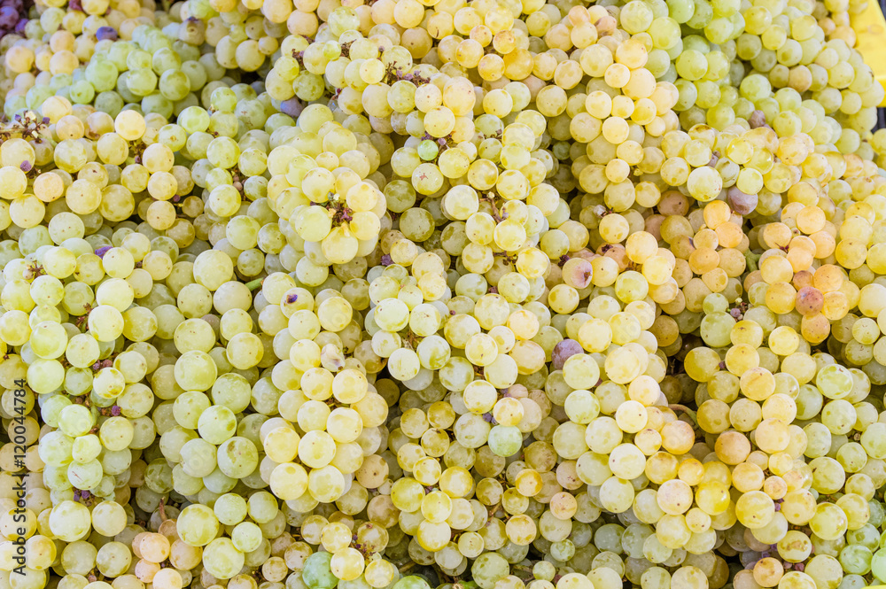 Green or yellow seedless grapes Stock Photo | Adobe Stock
