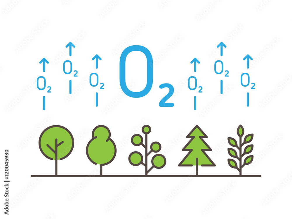 O2 (oxygen) linear vector illustration with house plants. Natural ...