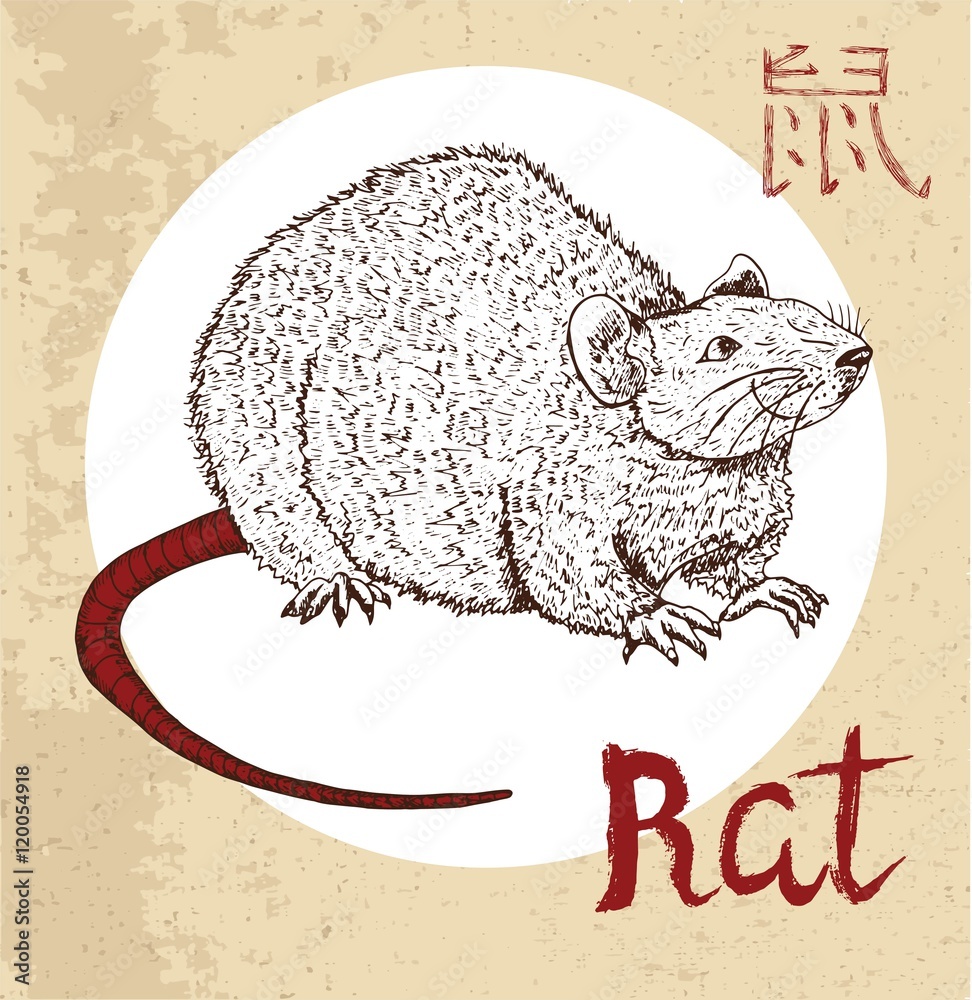 Chinese zodiac symbol of etching rat with hieroglyph Stock Vector ...