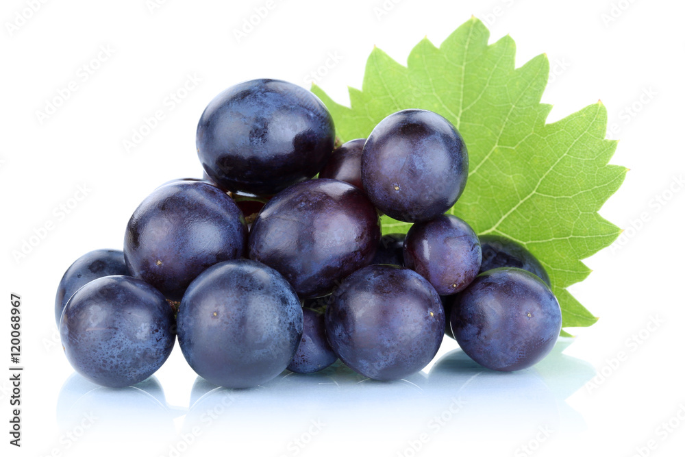 Trauben Weintrauben blau frische Früchte Obst Stock-Foto | Adobe Stock