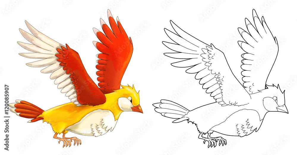 Cartoon exotic colorful bird - flying - isolated - with coloring page ...
