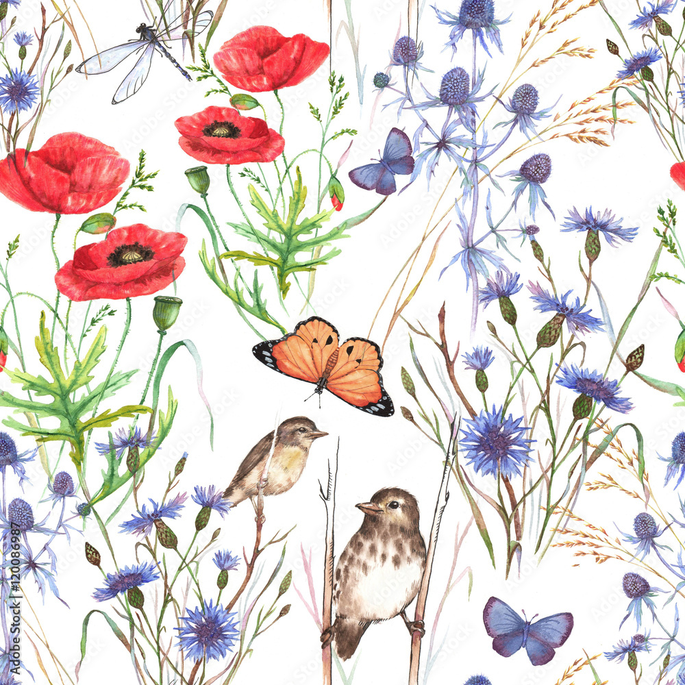 Hand-drawn watercolor floral seamless pattern. Summer meadow flowers ...
