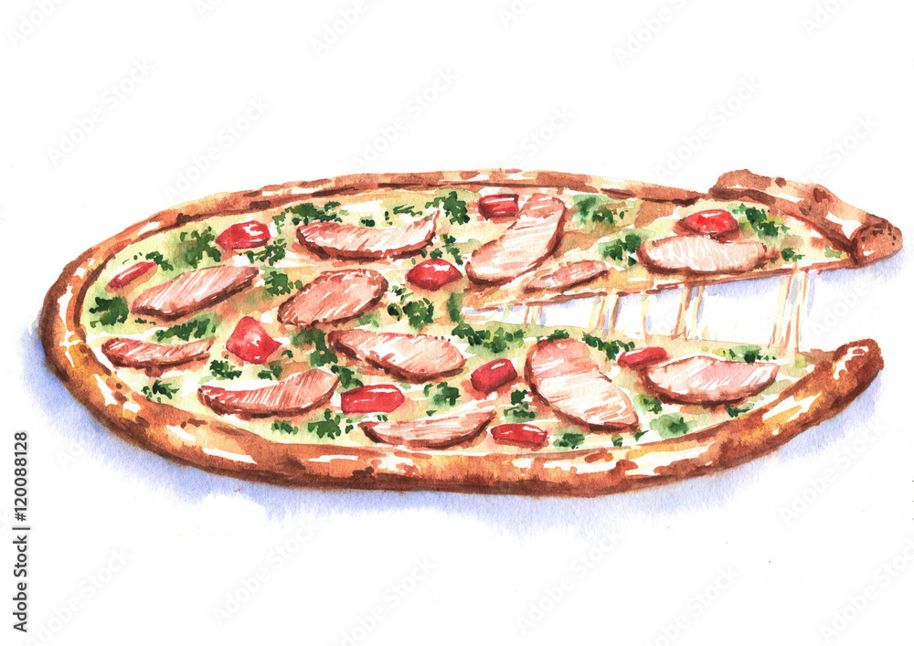 Hand-drawn watercolor illustration of the pizza with the chicken meat ...