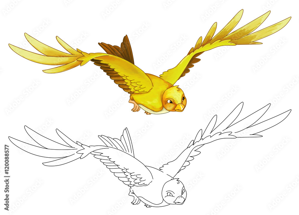 Cartoon exotic colorful bird - flying - isolated - with coloring page ...