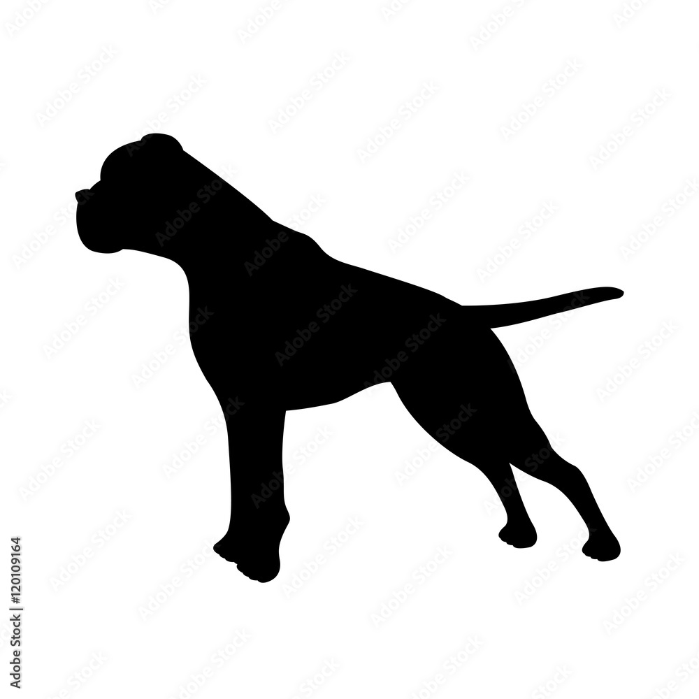 Boxer dog breed profile vector illustration Stock Vector | Adobe Stock