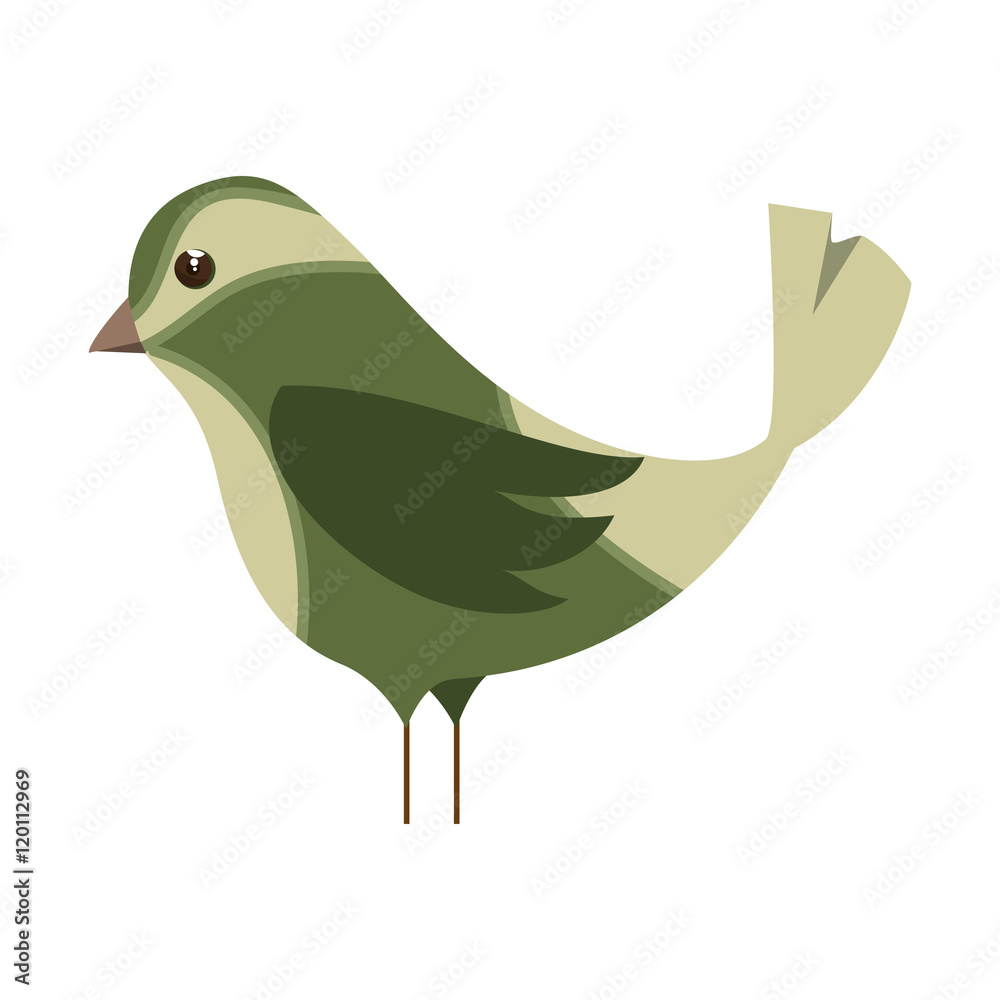 bird cartoon colorful animal. side view. vector illustration Stock ...