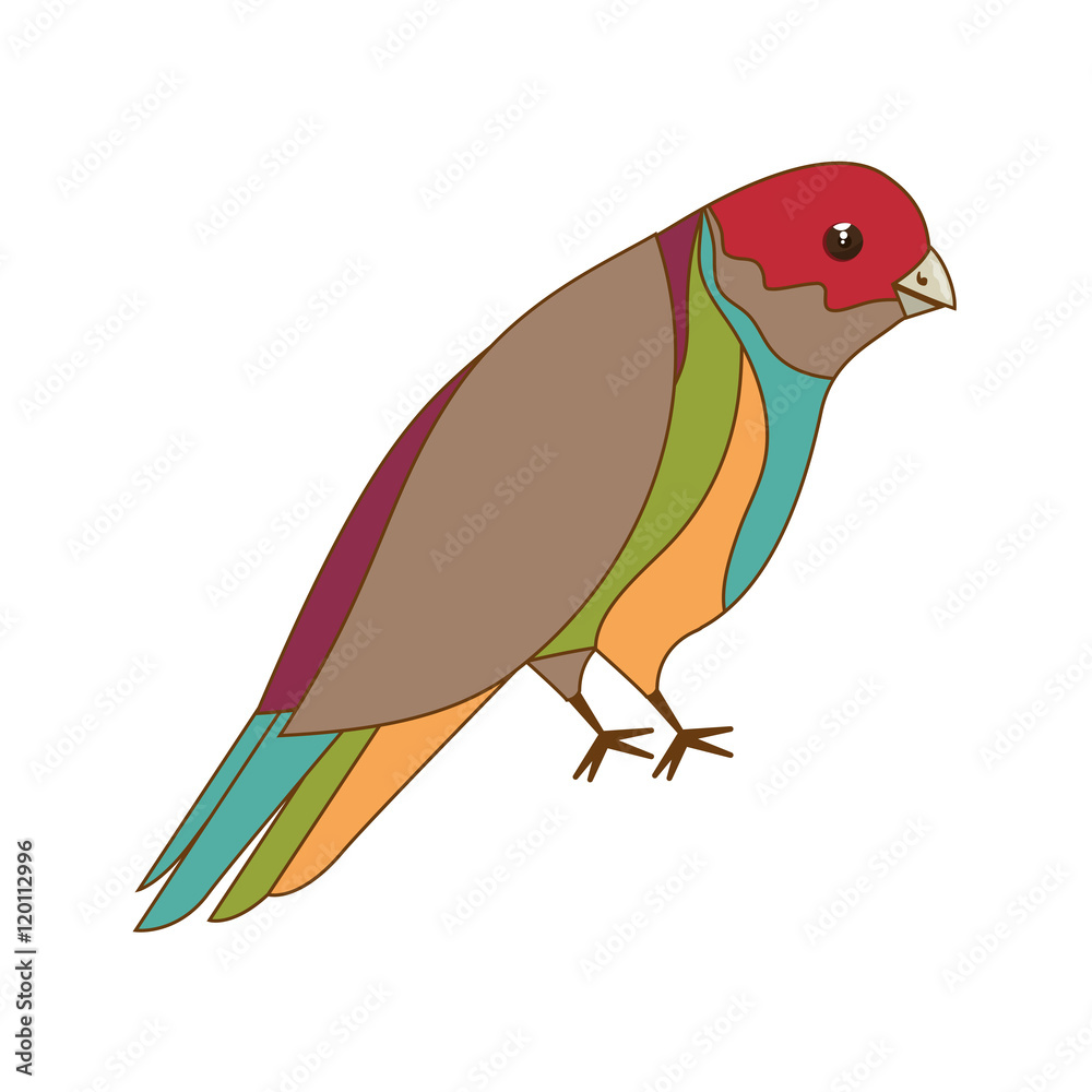 bird cartoon colorful animal. side view. vector illustration Stock ...