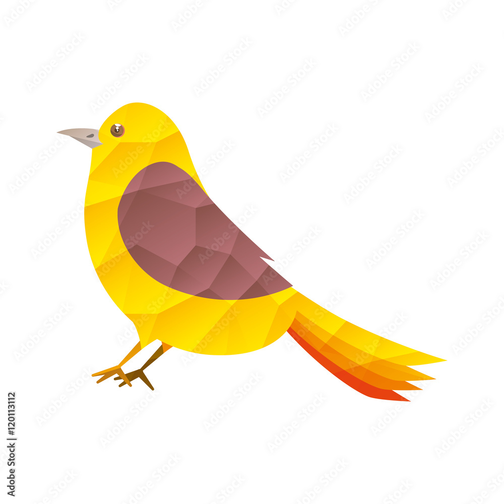 bird cartoon abstract texture colorful animal. side view. vector ...