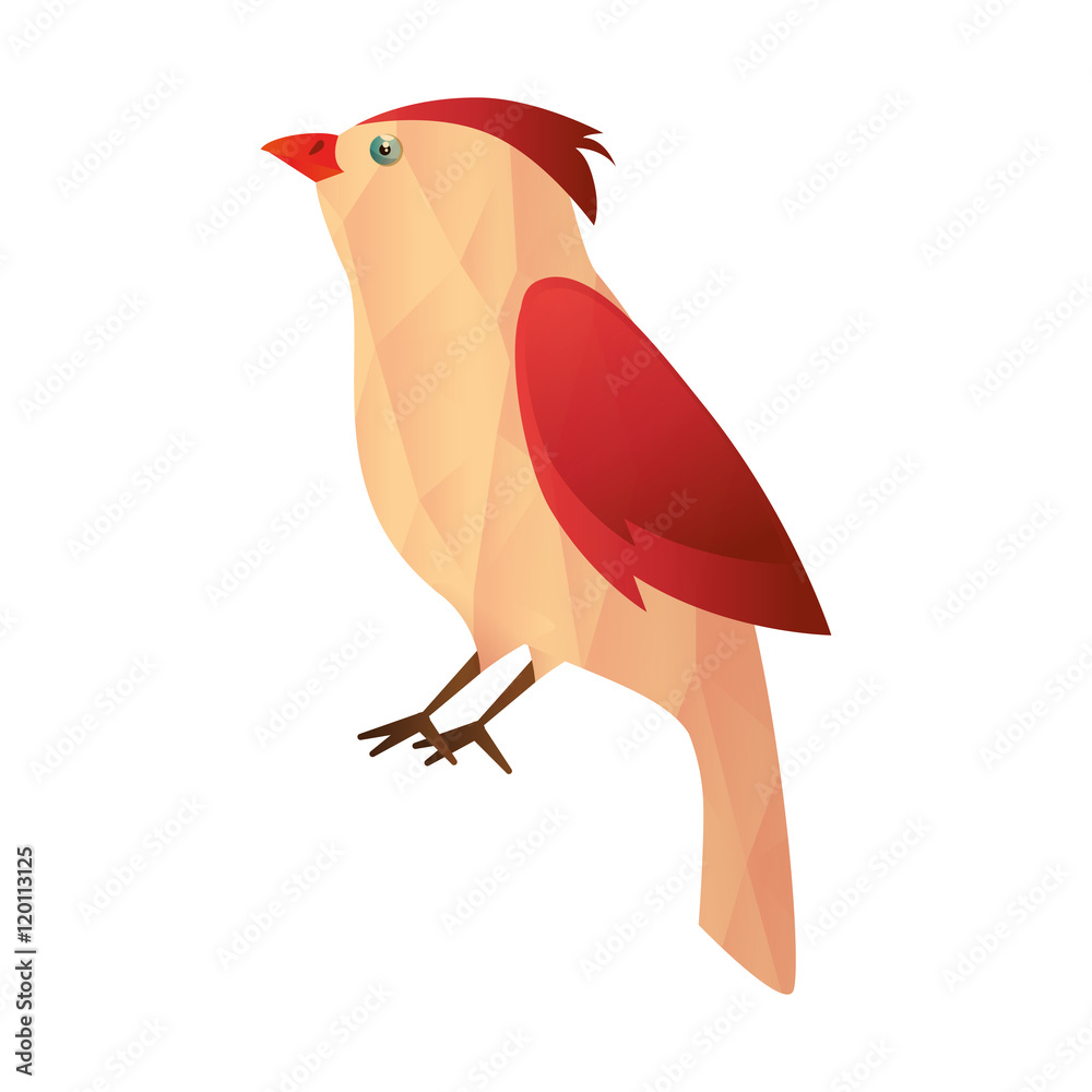 bird cartoon colorful animal. side view. vector illustration Stock ...