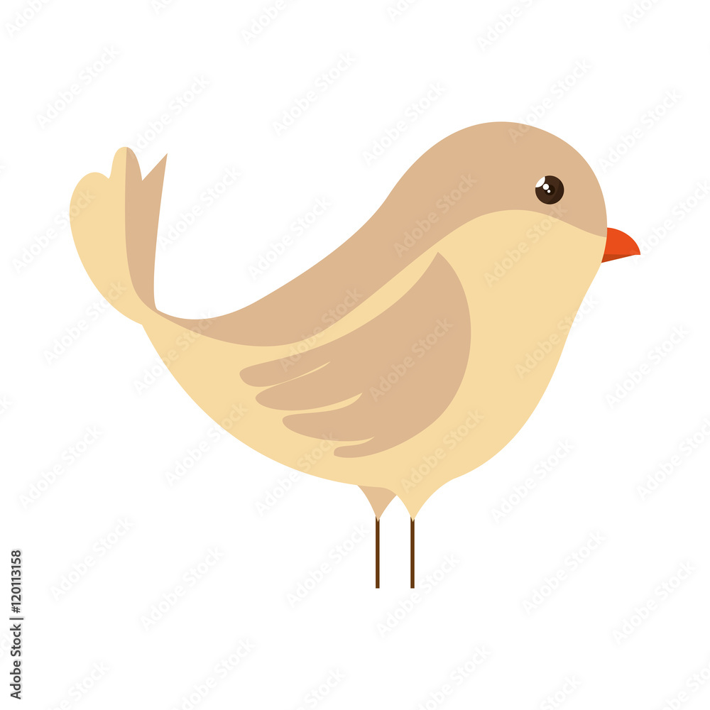 bird cartoon colorful animal. side view. vector illustration Stock ...