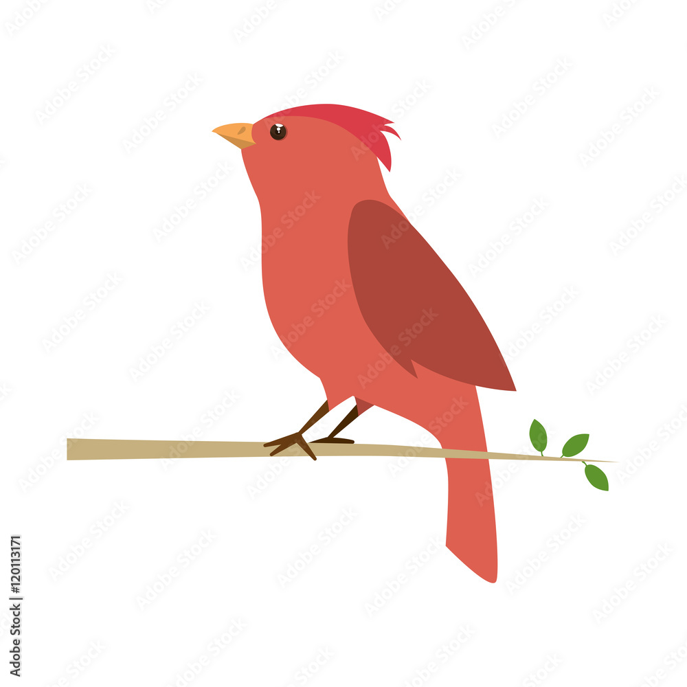 red bird cartoon colorful animal. side view. vector illustration Stock ...