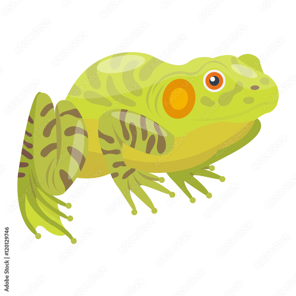 Frog cartoon tropical animal cartoon nature icon. Funny frog cartoon ...