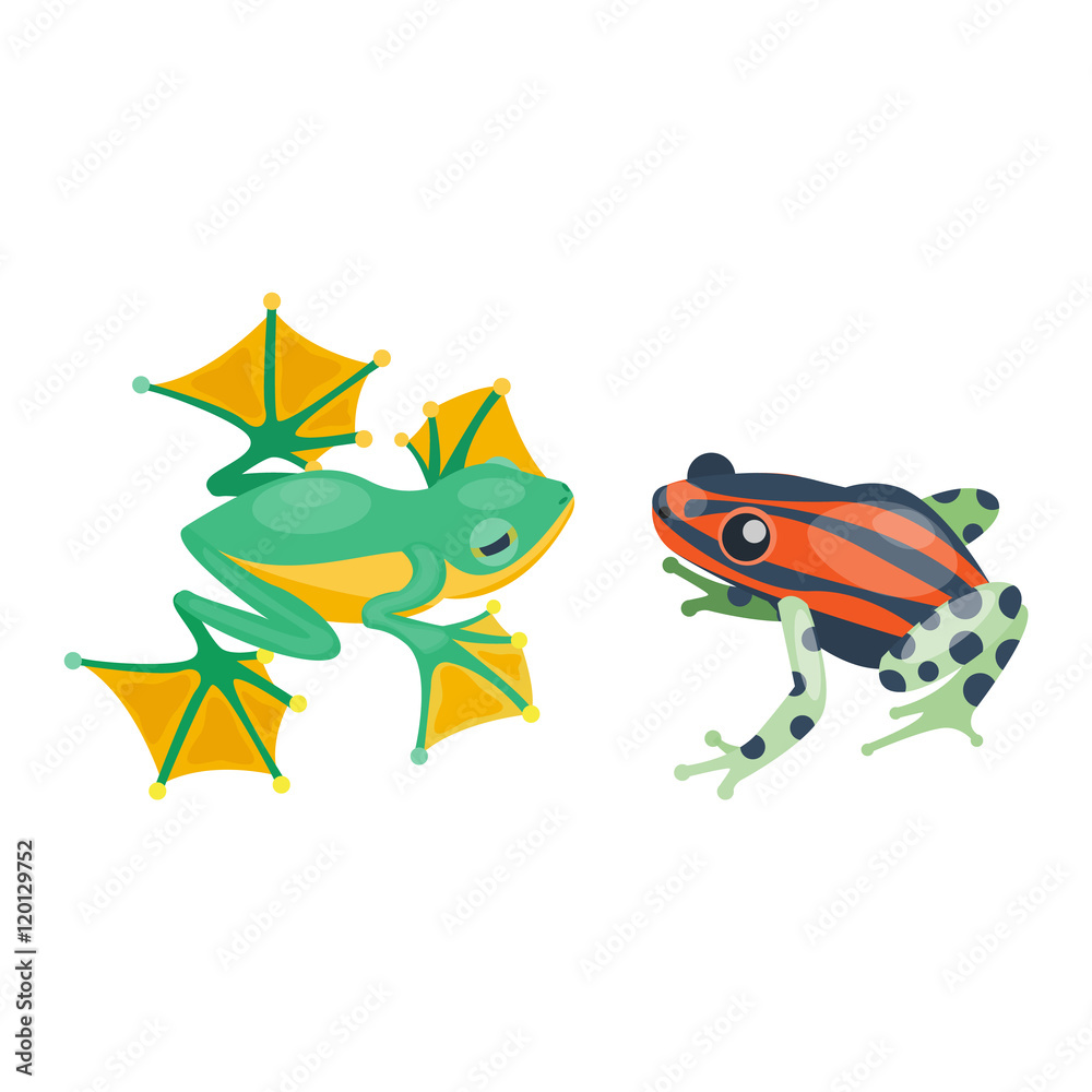 Frog cartoon tropical animal cartoon nature icon. Funny frog cartoon ...