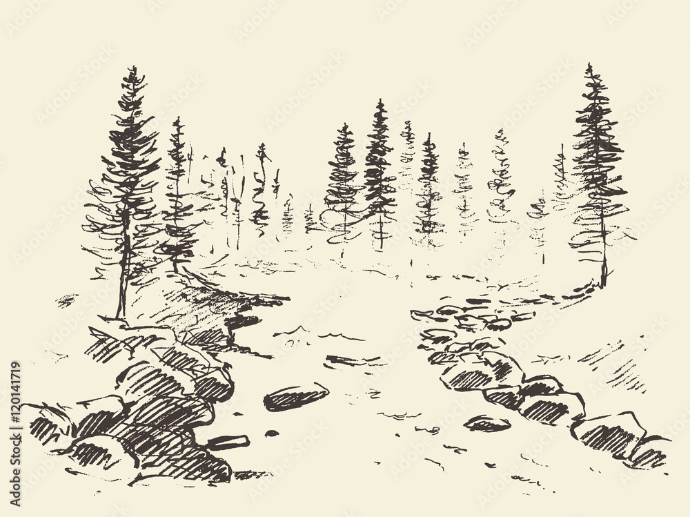 Hand drawn landscape river forest vintage vector. Stock Vector | Adobe ...