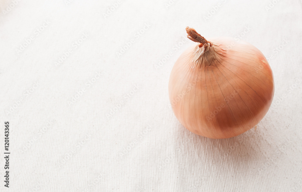 Onion Stock Photo | Adobe Stock