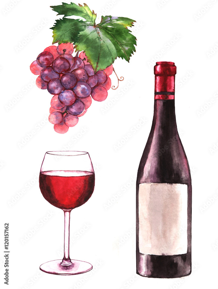 Hand-drawn watercolor illustration of the wine bottle, grape and one ...