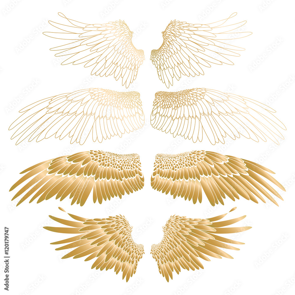 Graphic wings collection Stock Vector | Adobe Stock
