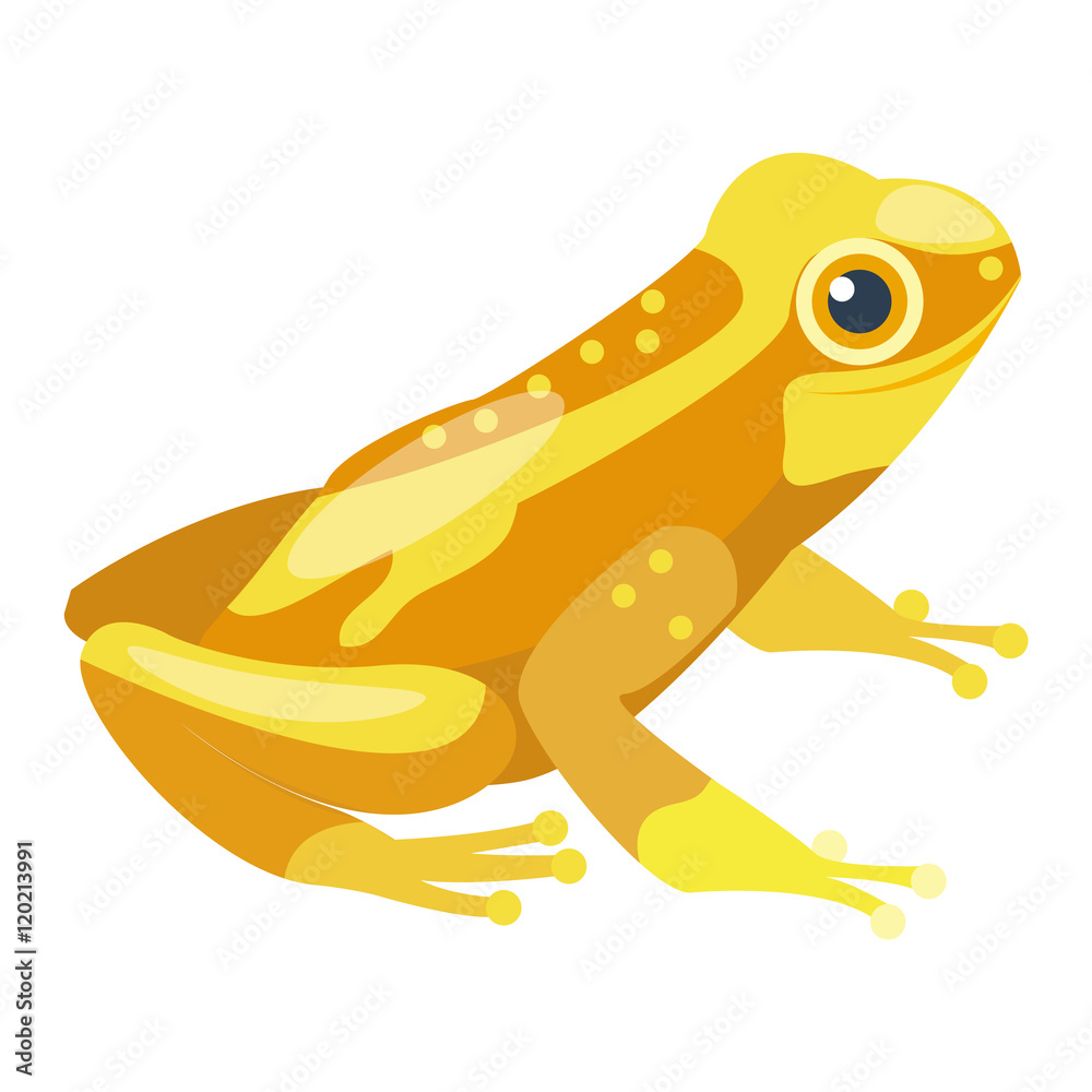 Frog cartoon tropical animal cartoon nature icon. Funny frog cartoon ...