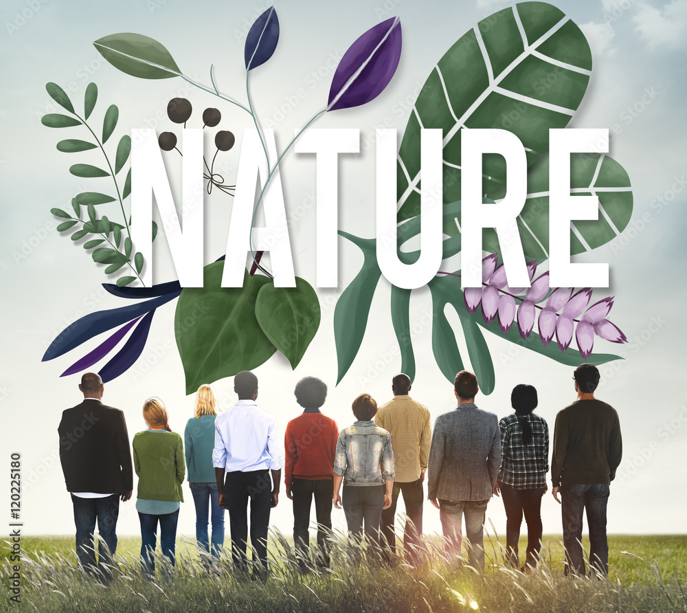 Nature Environment Green Earth Growth Natural Concept Stock Photo ...