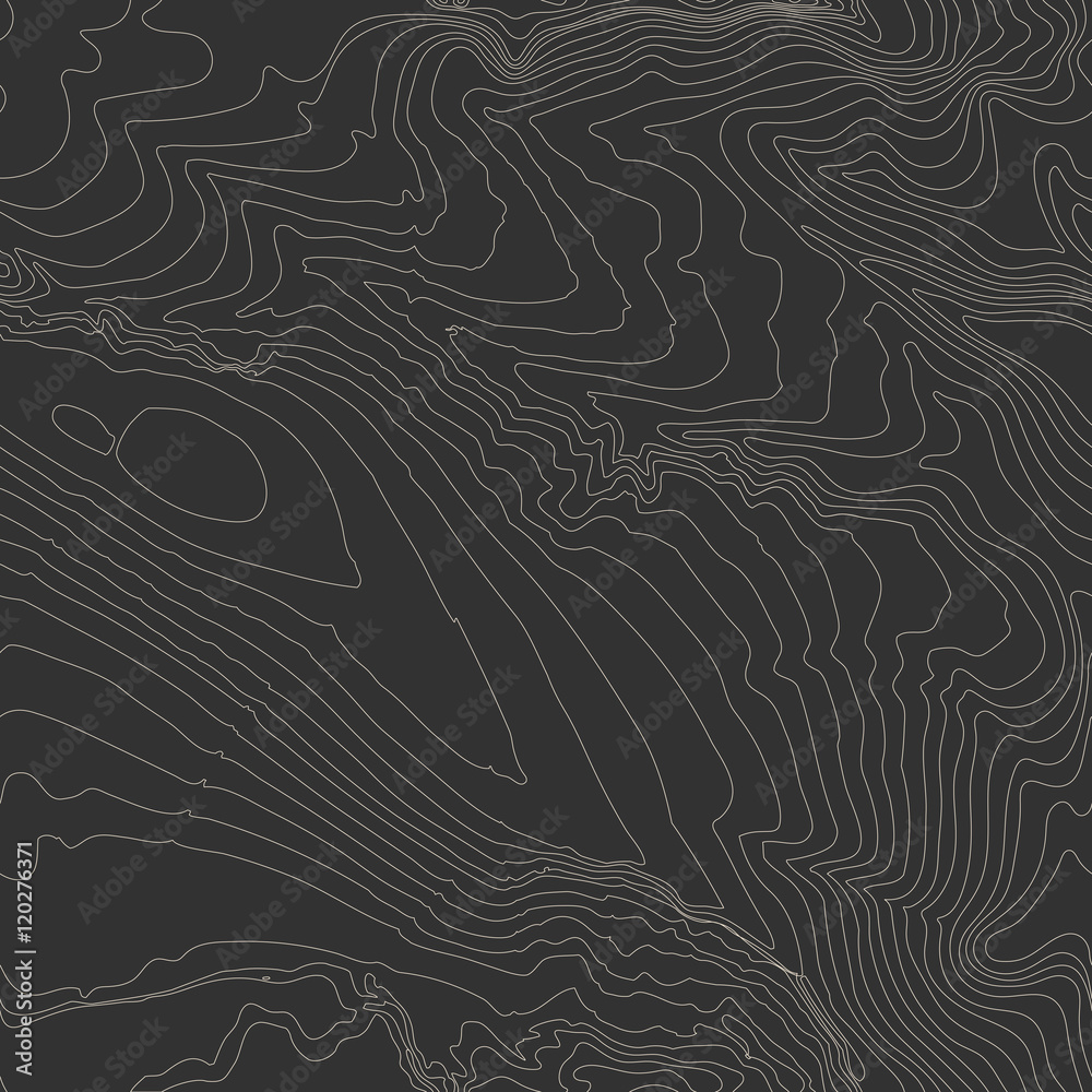 Topographic map background concept with space for your copy. Topography ...