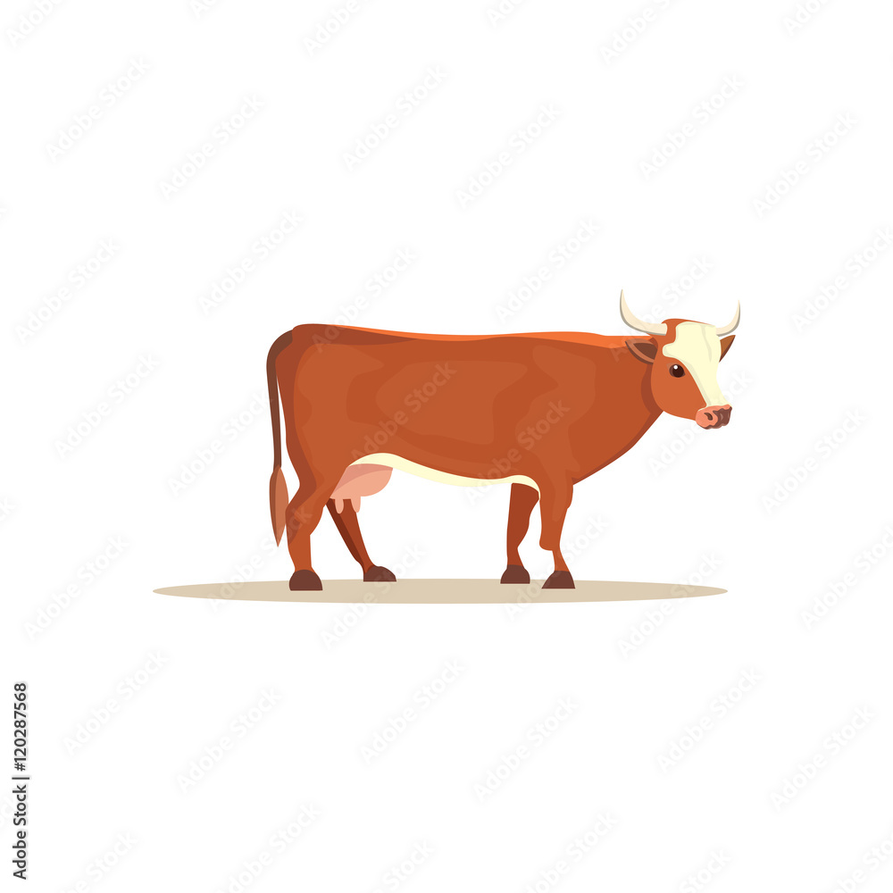 cow cartoon illustration. isolated farm cows on white. Stock Vector ...