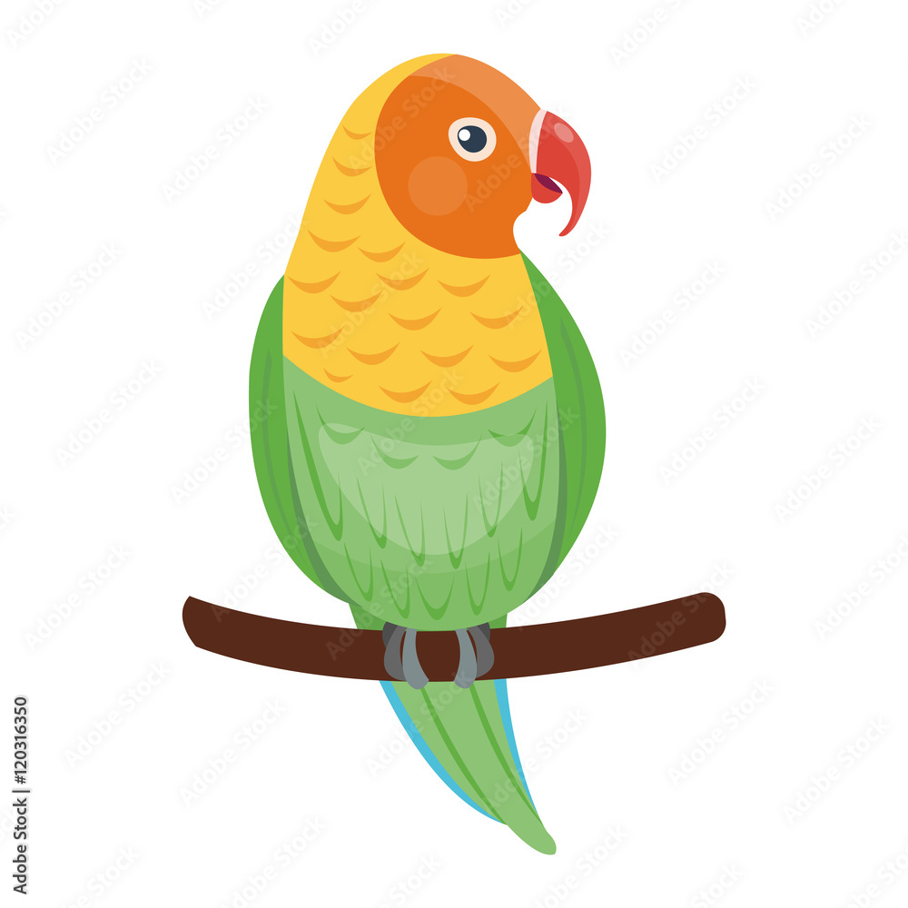 Cartoon parrot wild animal bird. Tropical parrot feather zoo bird ...
