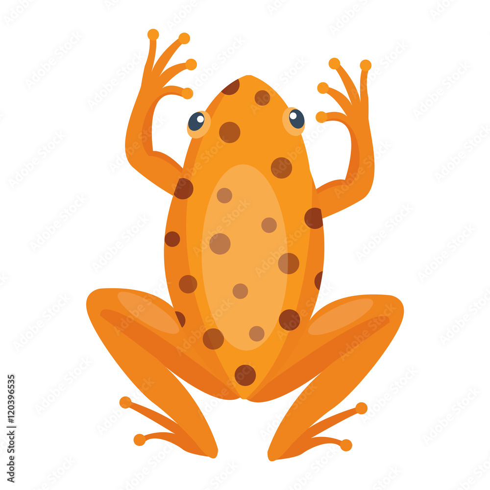 Orange Frog Clipart