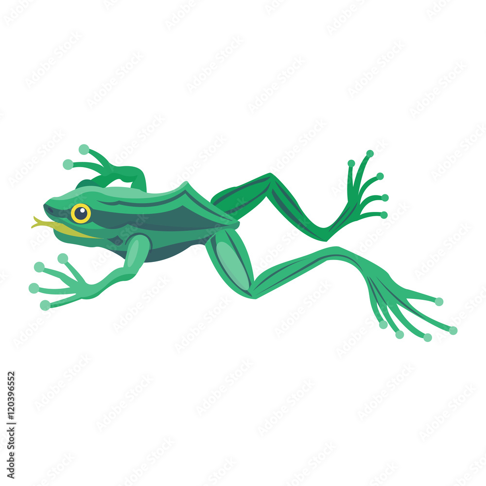 Frog cartoon tropical animal cartoon nature icon. Funny frog cartoon ...